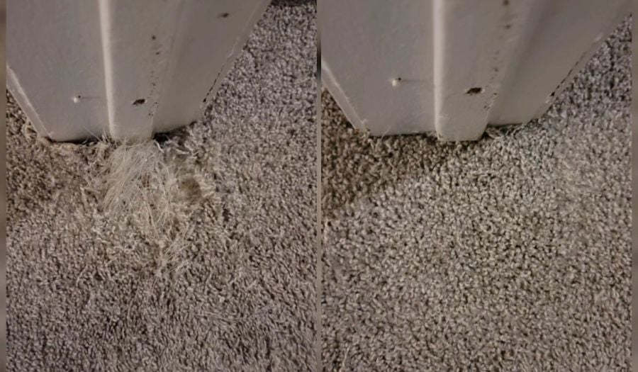 #1 Carpet Cleaning In Rogers, MN | JM Carpet Cleaning