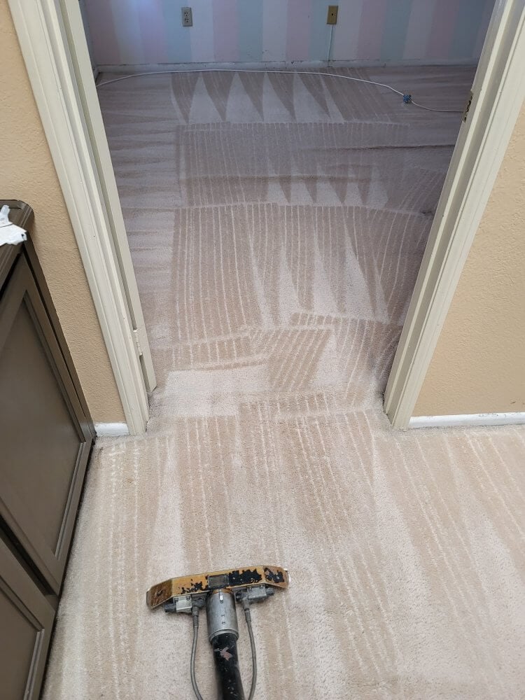 JM Carpet Cleaning Service in Rogers, MN | Request A Free Quote